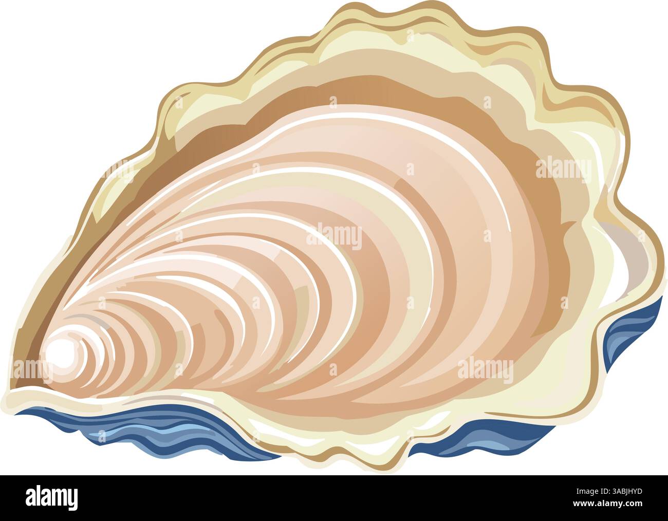 Single Oyster Shell Icon Stock Vector Image & Art - Alamy