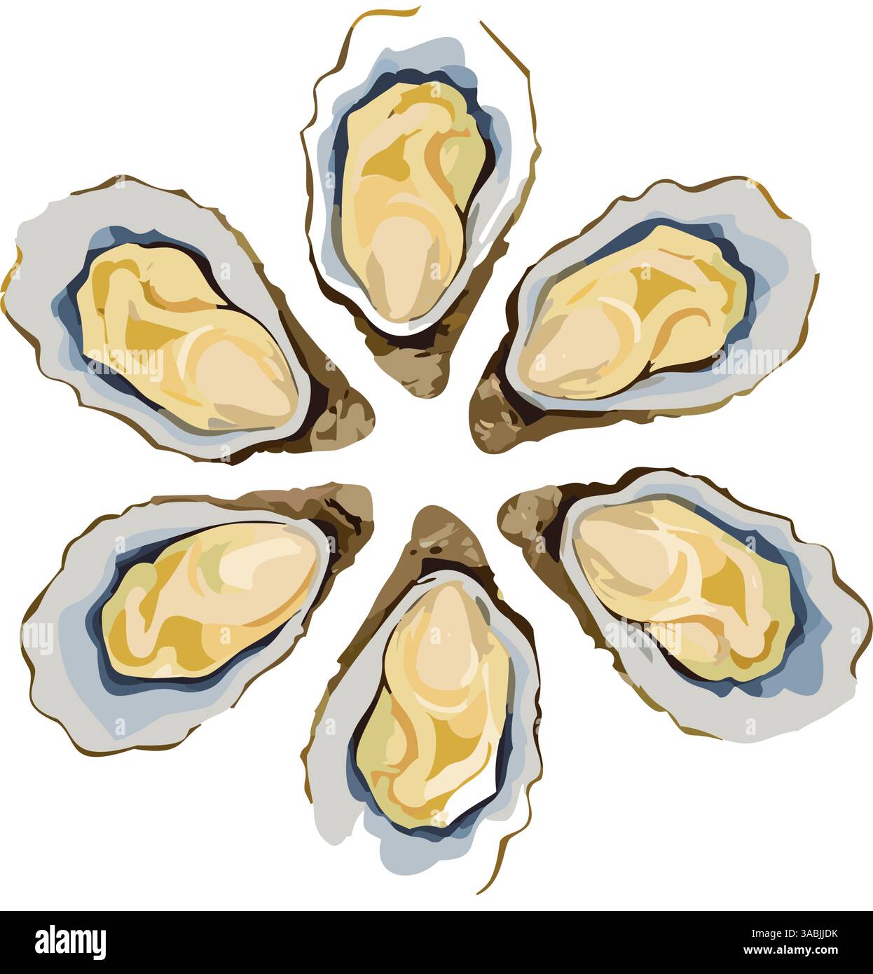 Gourmet seafood oysters Stock Vector Images - Alamy