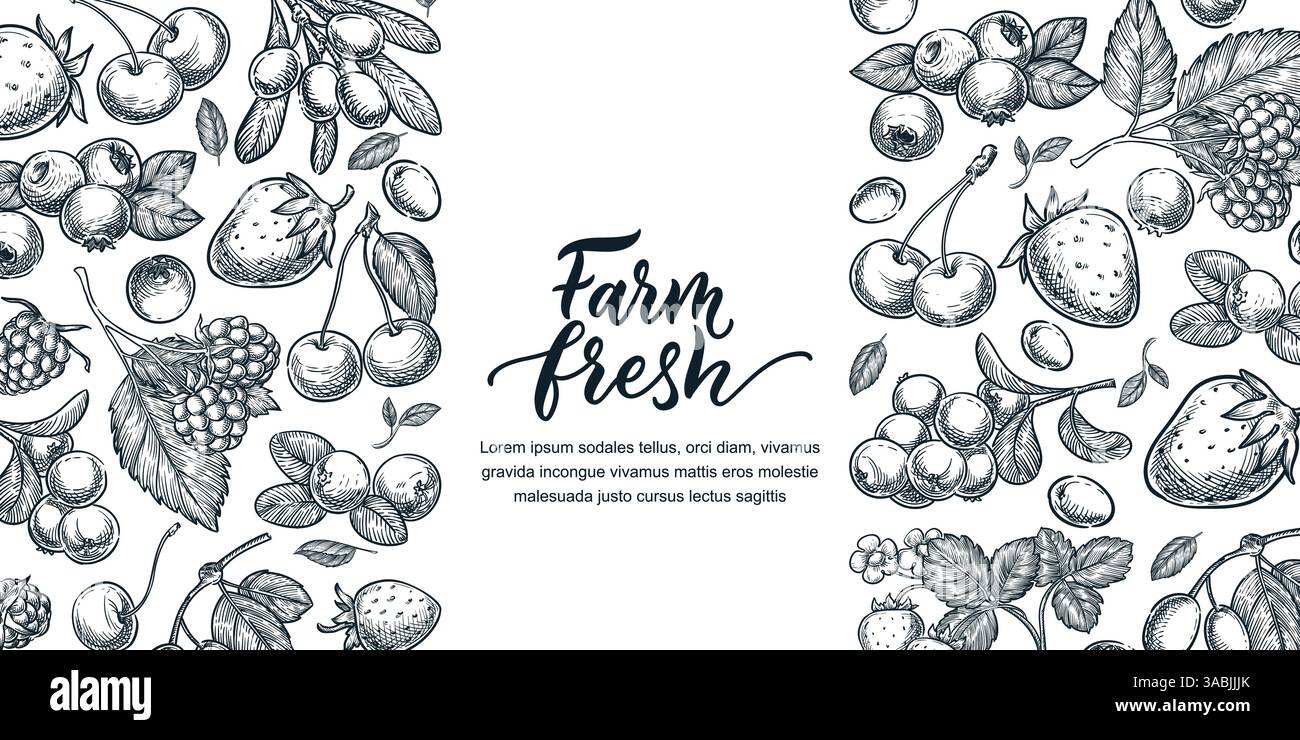 Label design template for farm berries package. Vector sketch ...