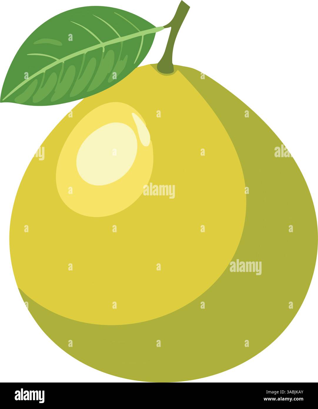 Pomelo Fruit Vector Illustration Stock Vector Image & Art - Alamy