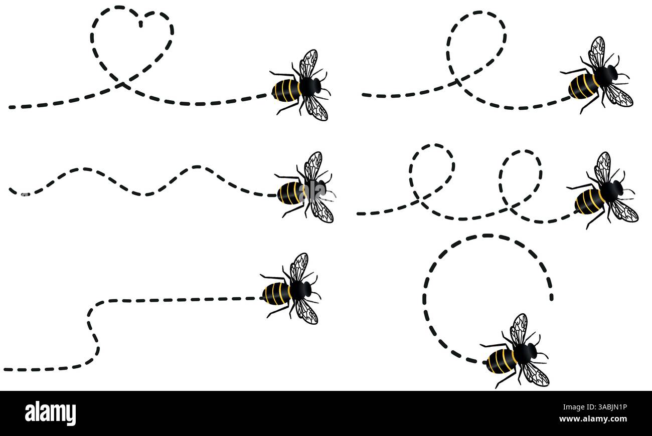 Busy Bees with dotted line indicating path travelled Stock Vector Image ...