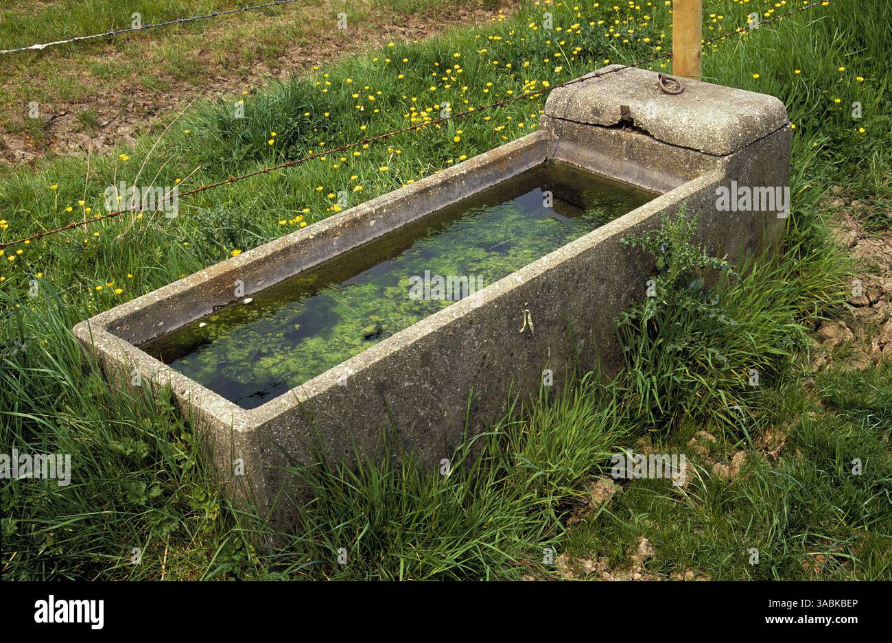 Old water supply water trough hi-res stock photography and images - Alamy