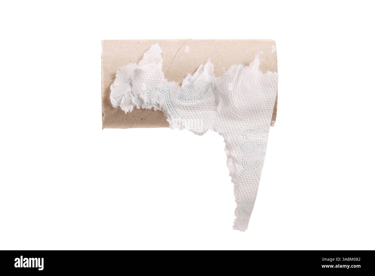 Empty toilet paper roll isolated on white background Stock Photo - Alamy