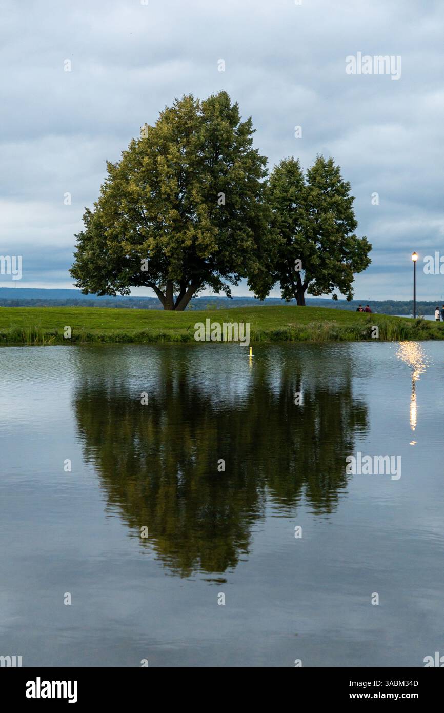Waterfront with trees and their reflection in water in the park in ...