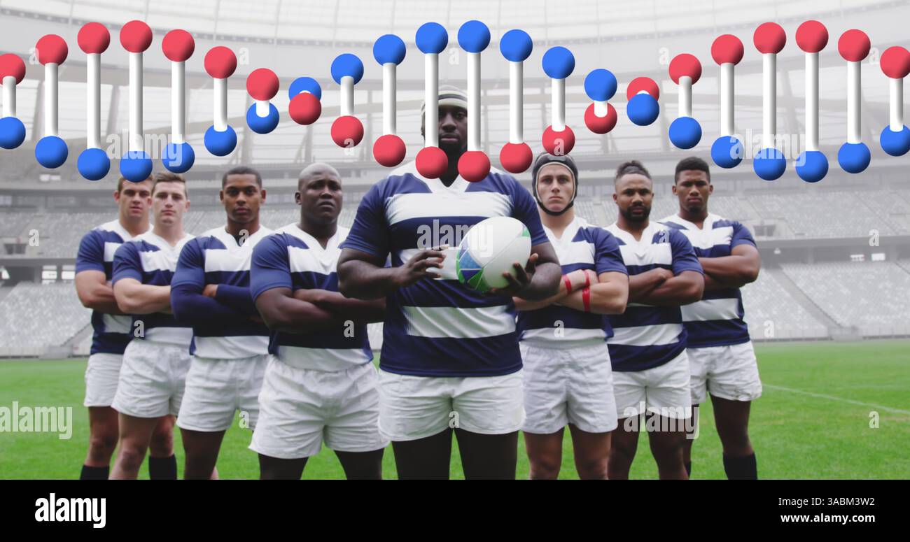 Image of dna strand over male rugby players at stadium Stock Photo - Alamy