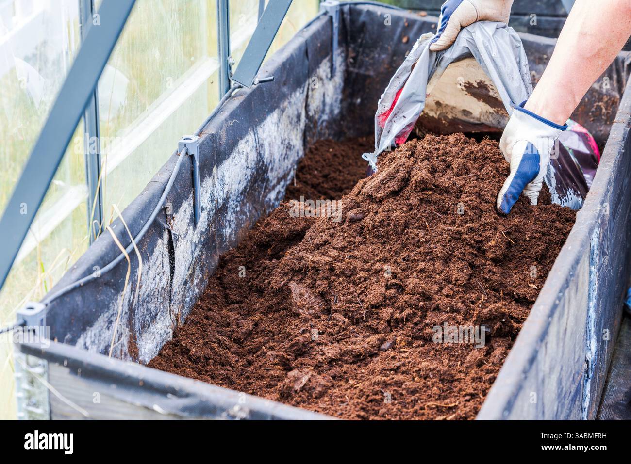 Person pouring soil from bag into raised greenhouse bed during ...