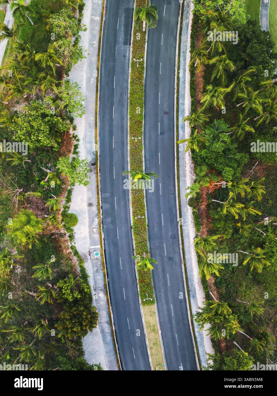 Aerial view driving tropical road with palm tree jungle, caribbean ...
