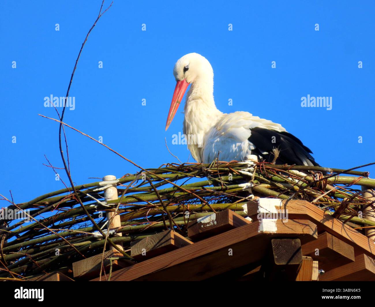 ...was den Menschen recht ist, das ist den Stoerchen laengst billig ...