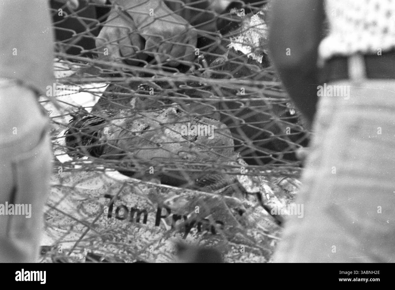 Tom pryce f1 Black and White Stock Photos & Images - Alamy