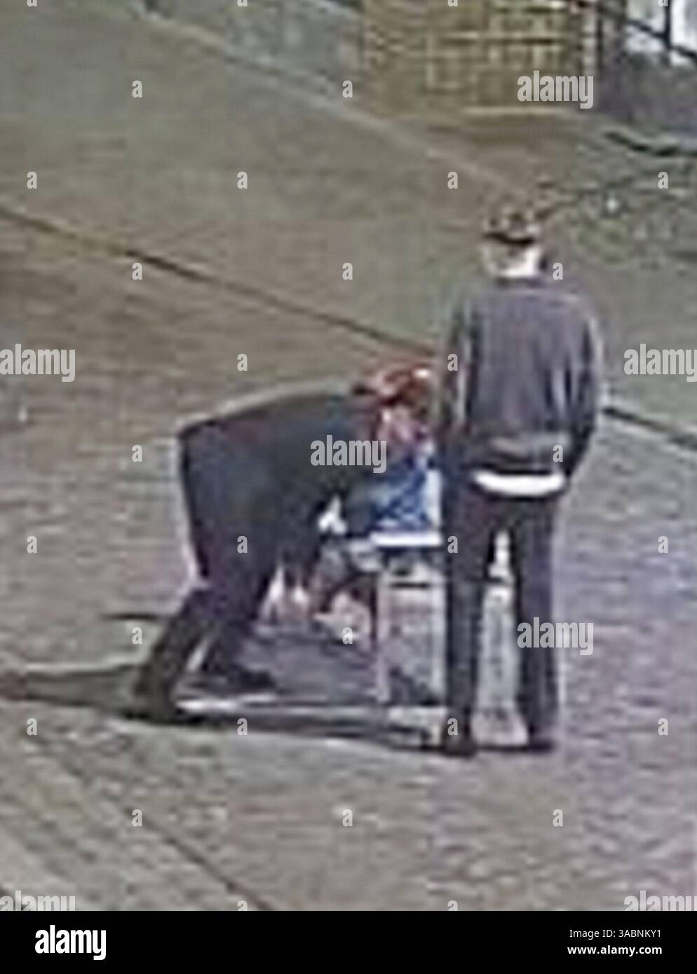 Non Exclusive: Two men who had been drinking kicked and yanked on a ...