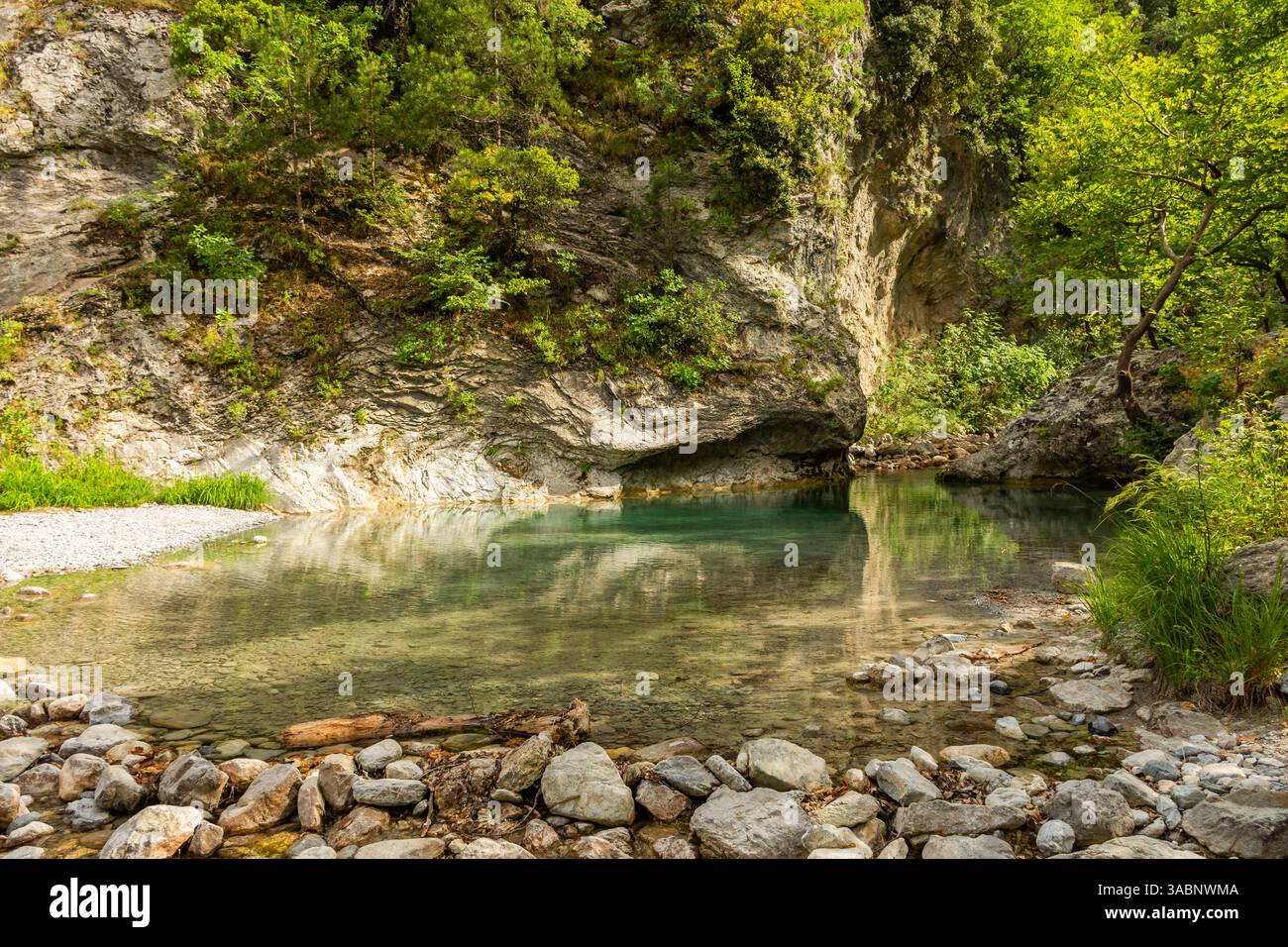 Crystal clear waters of natural springs and lake in the woods of the ...