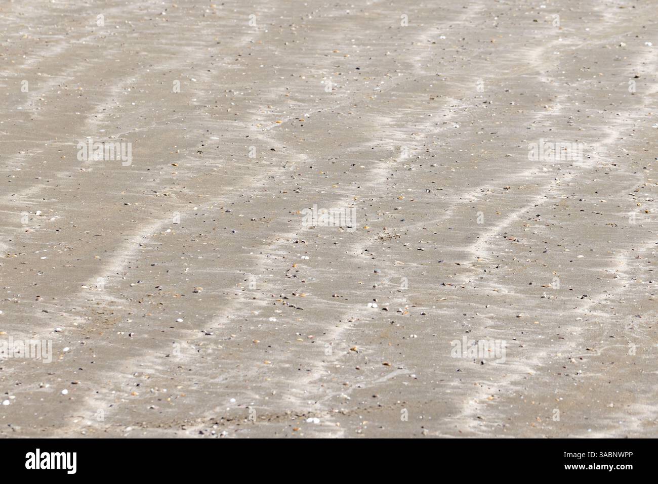 A detailed view of rippling sand patterns created by water currents ...