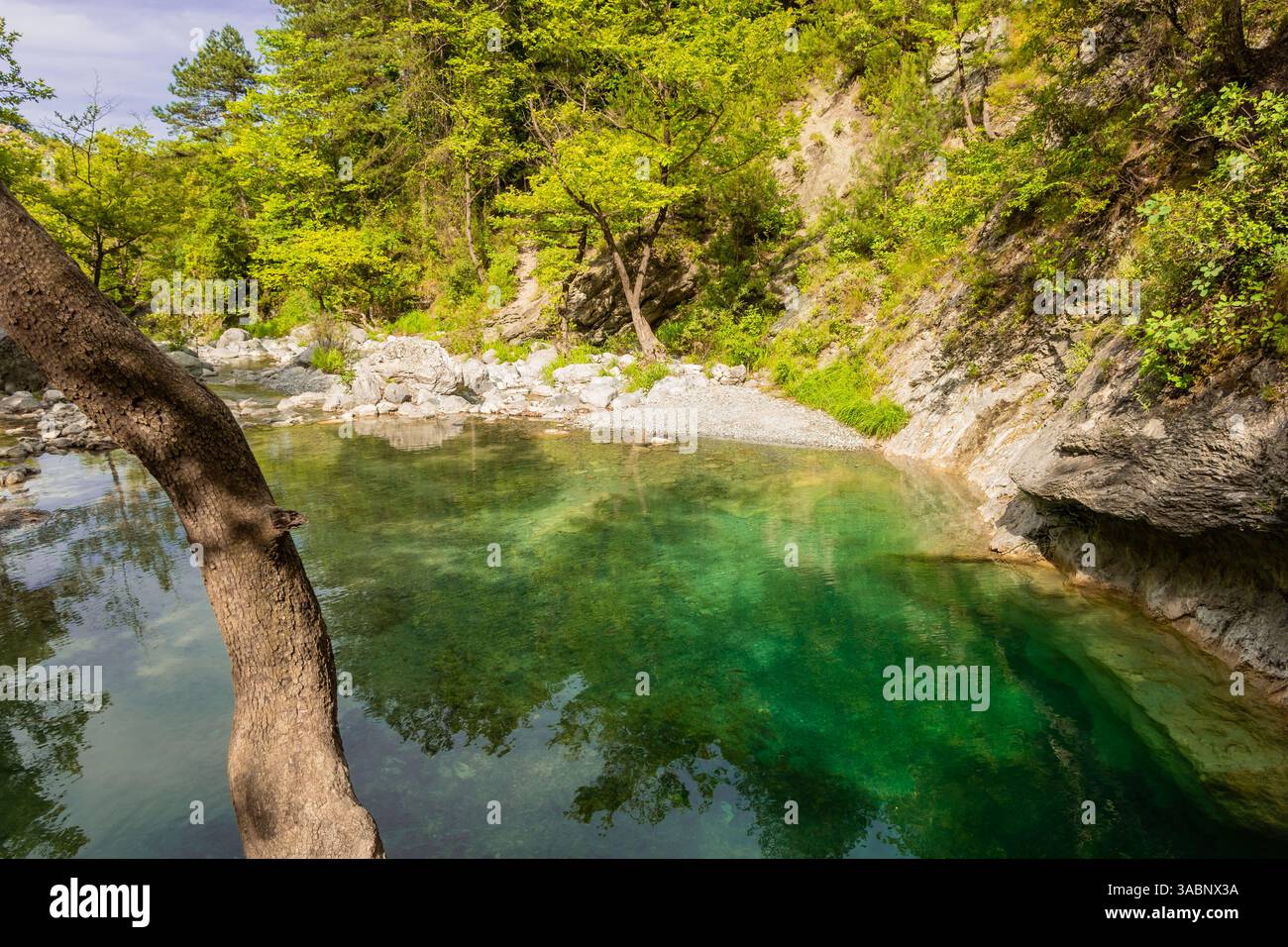 Crystal clear waters of natural springs and lake in the woods of the ...