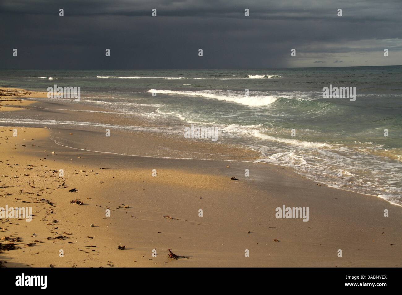 Torre Canne, Puglia, Italy. View of Spiaggia libera Torre Canne Sud in ...