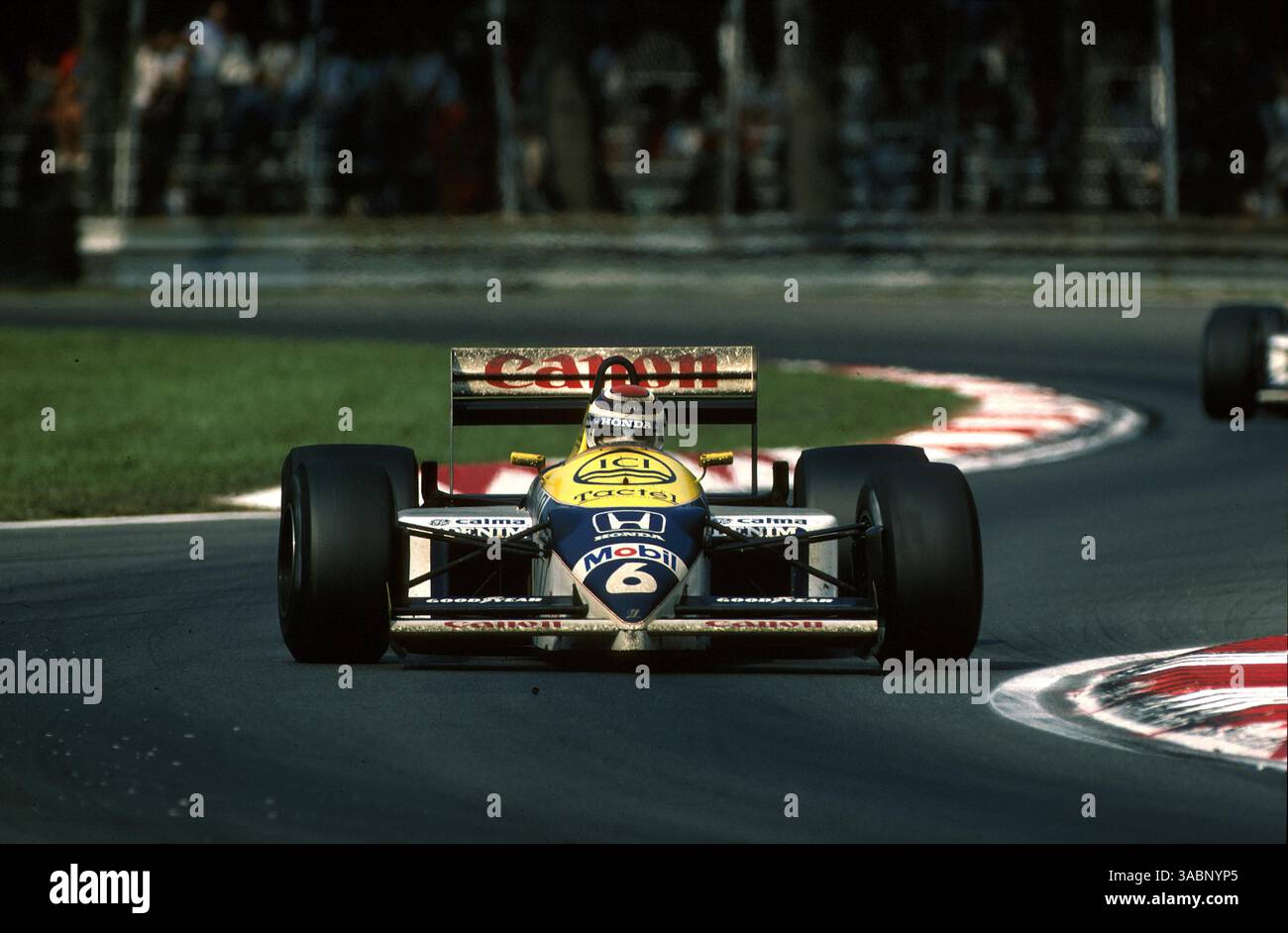 Race winner Nelson Piquet (BRA) Williams FW11...Italian Grand Prix ...