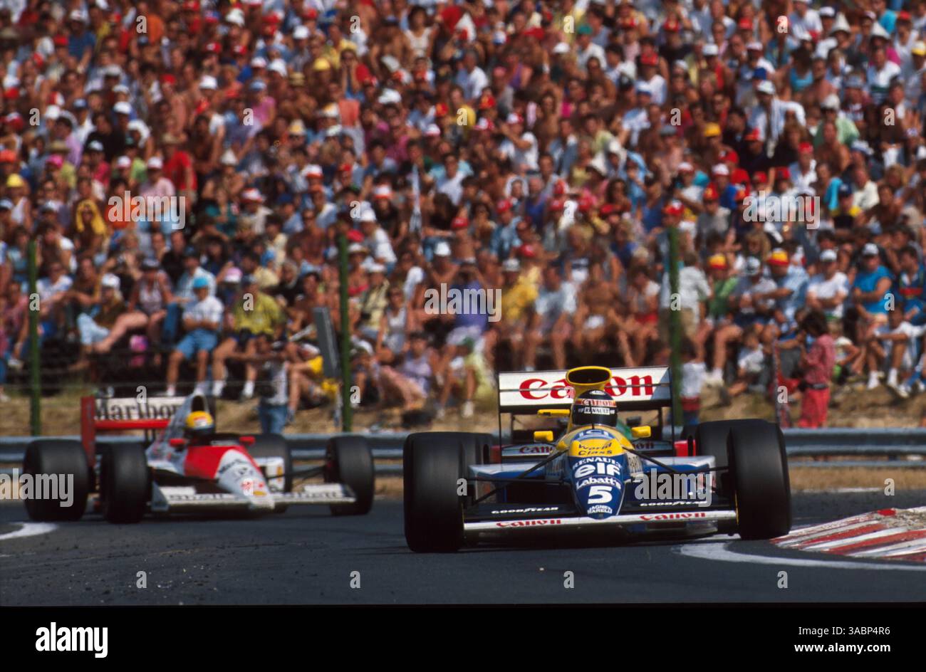 Race winner Thierry Boutsen(BEL), Williams FW13B..Hungarian GP, Budapest, Hungary, 12 August ...