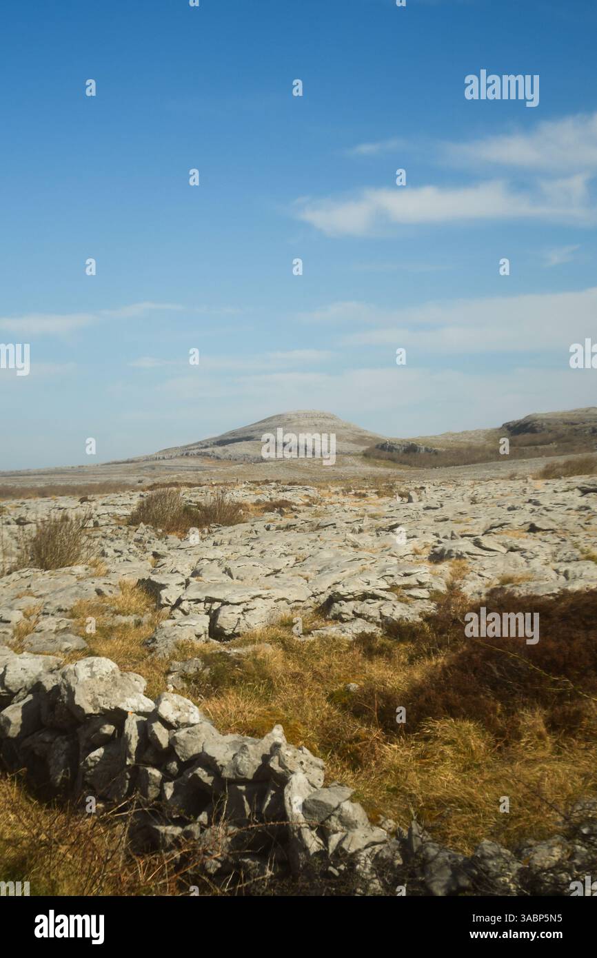 Pairc naisiunta bhoirne hi-res stock photography and images - Alamy