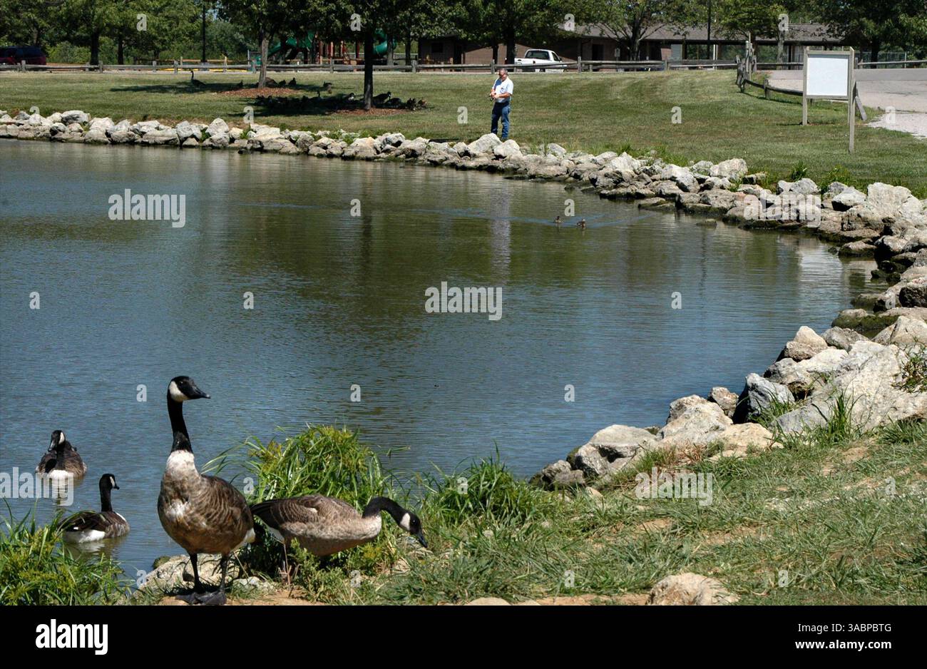 Aug 24, 2005 - Cincinnati, Ohio, USA - The lake at Triple Creek Park is ...
