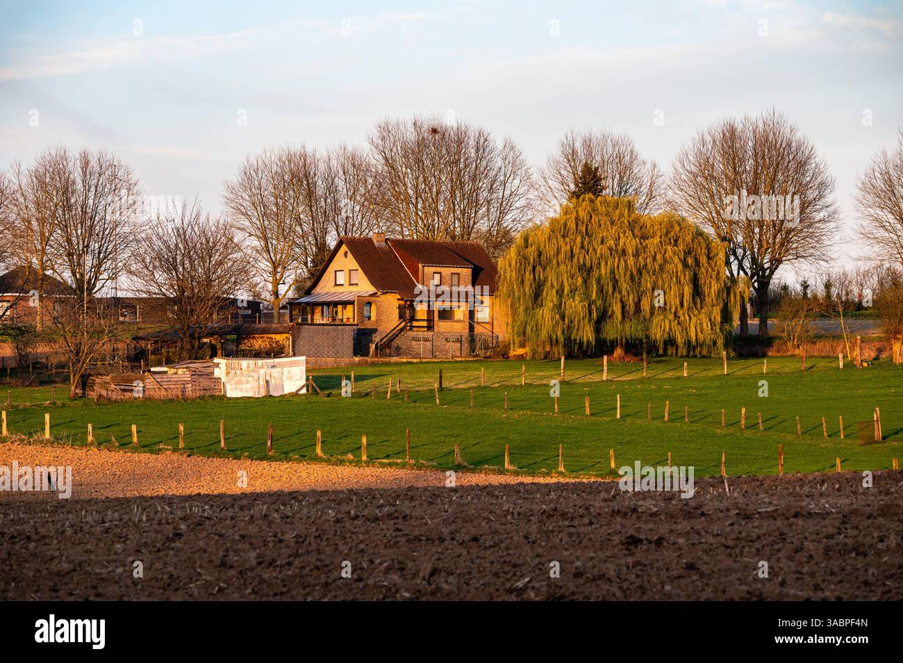 Colorful plowed agriculture fields and meadows at the Flemish ...