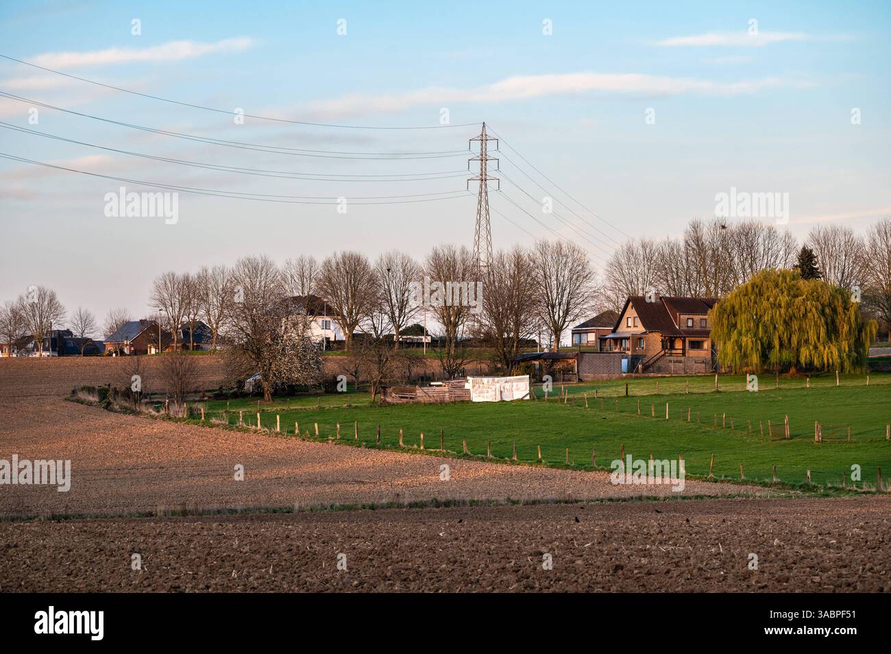Colorful plowed agriculture fields and meadows at the Flemish ...
