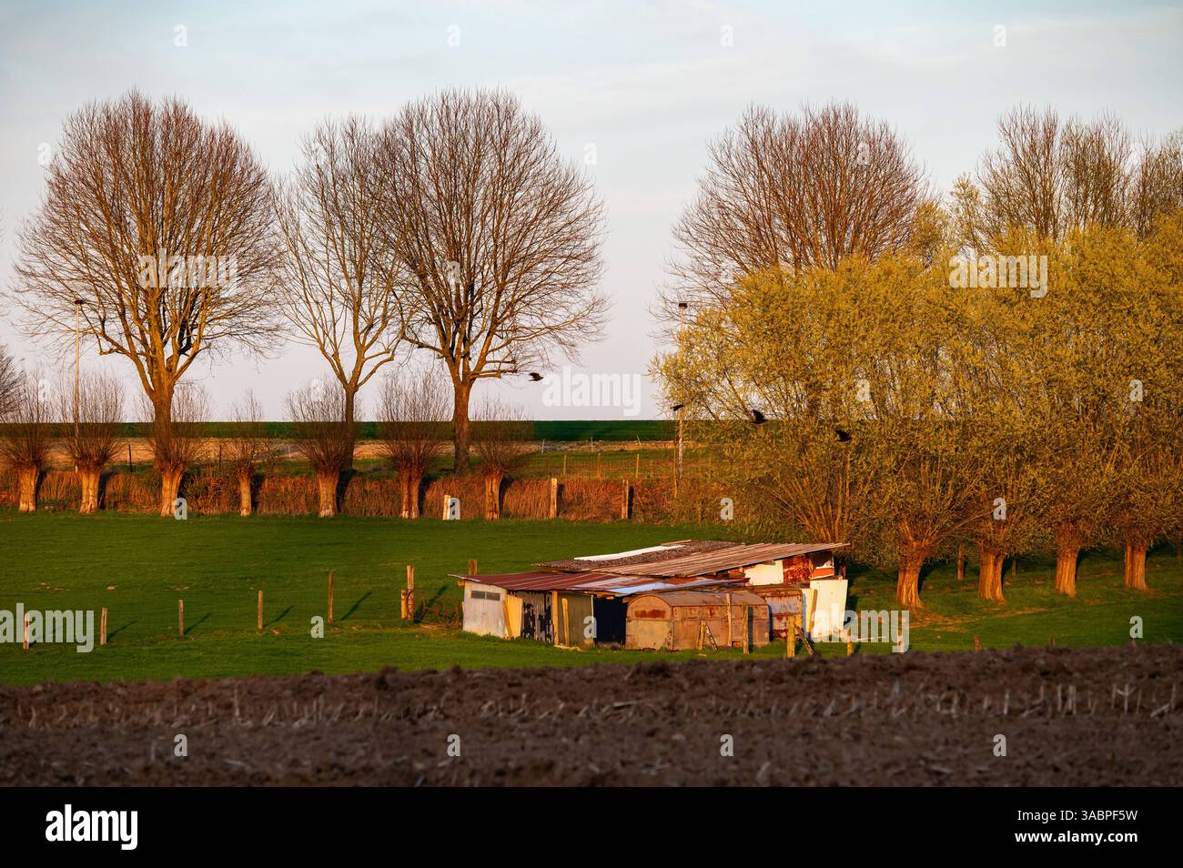 Colorful plowed agriculture fields and meadows at the Flemish ...