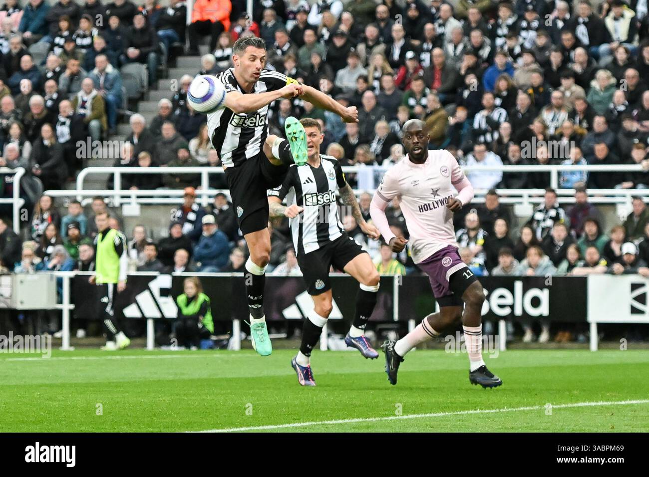 Newcastle United's Fabian Schär clears then all away form danger during ...