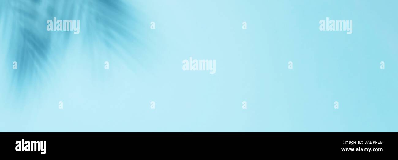 Art background with palm shadows on green. Long banner format for web ...