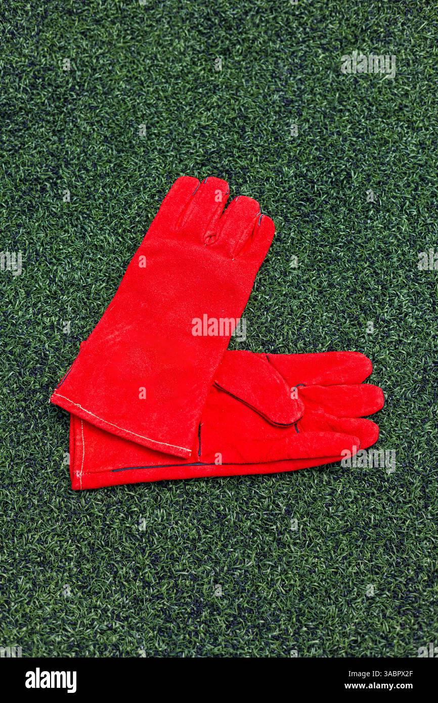 The bright red gloves placed on the vibrant green grass create a ...