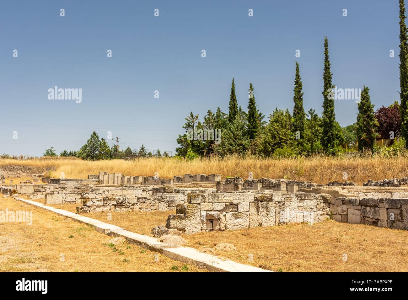 Ancient greek columns in Pella, archaeological site in Macedonia ...
