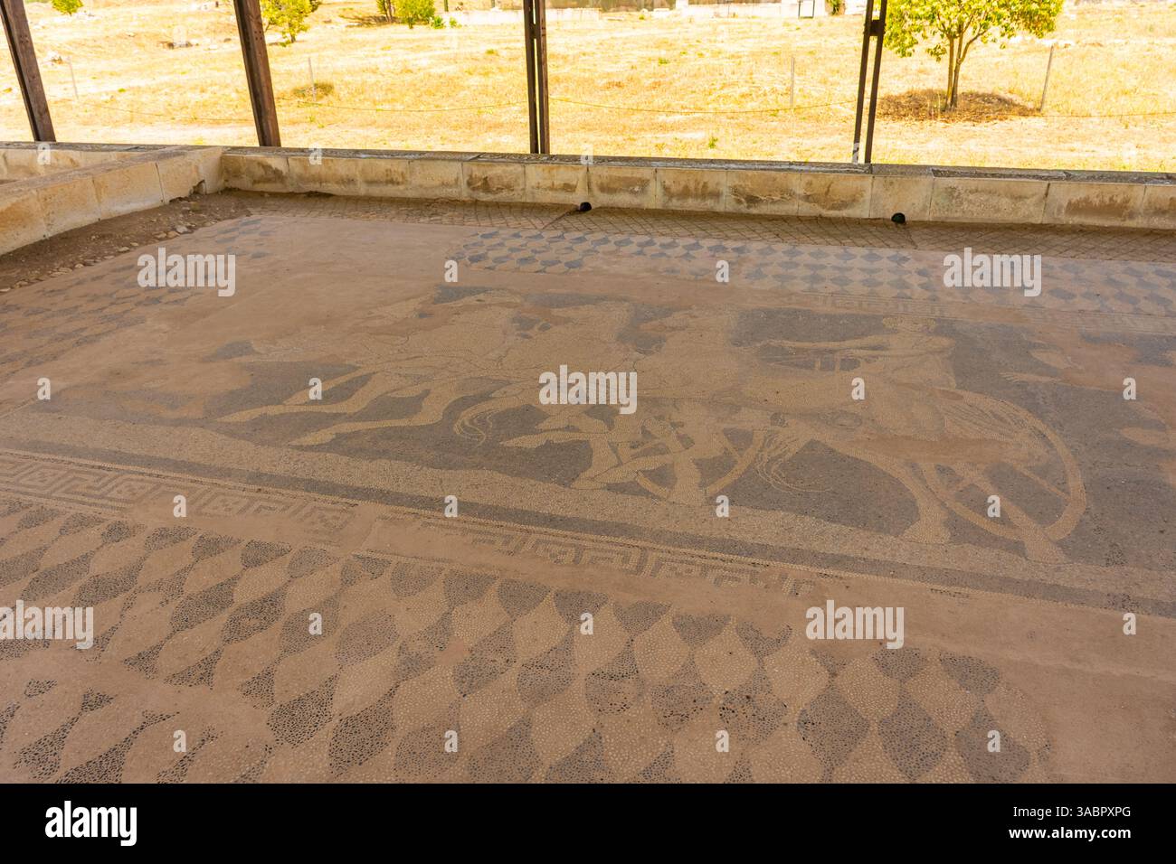 Ancient mosaics in Pella, archaeological site in Macedonia, birthplace ...