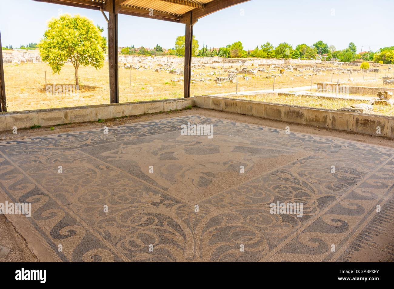 Ancient mosaics in Pella, archaeological site in Macedonia, birthplace ...
