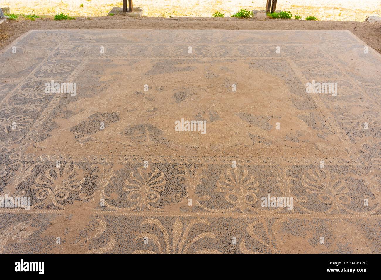 Ancient mosaics in Pella, archaeological site in Macedonia, birthplace ...