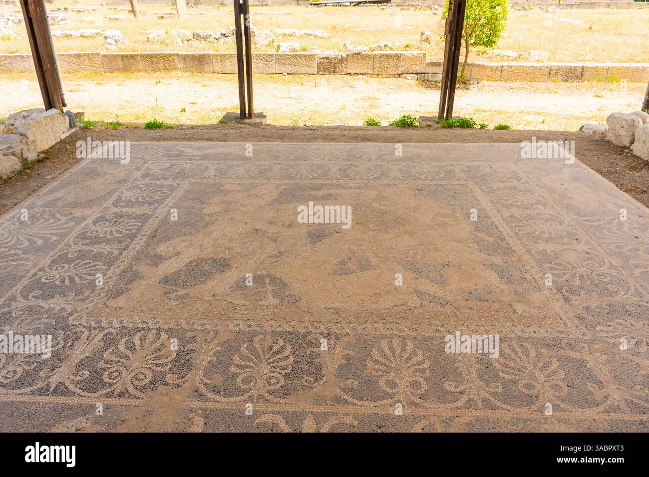 Ancient mosaics in Pella, archaeological site in Macedonia, birthplace ...