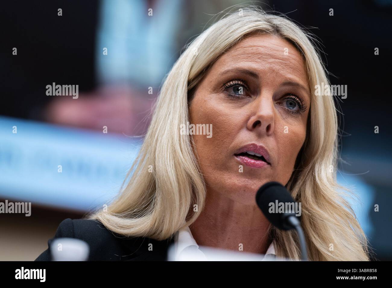 Nicole Parker, former FBI Special Agent, at a House Committee on the ...
