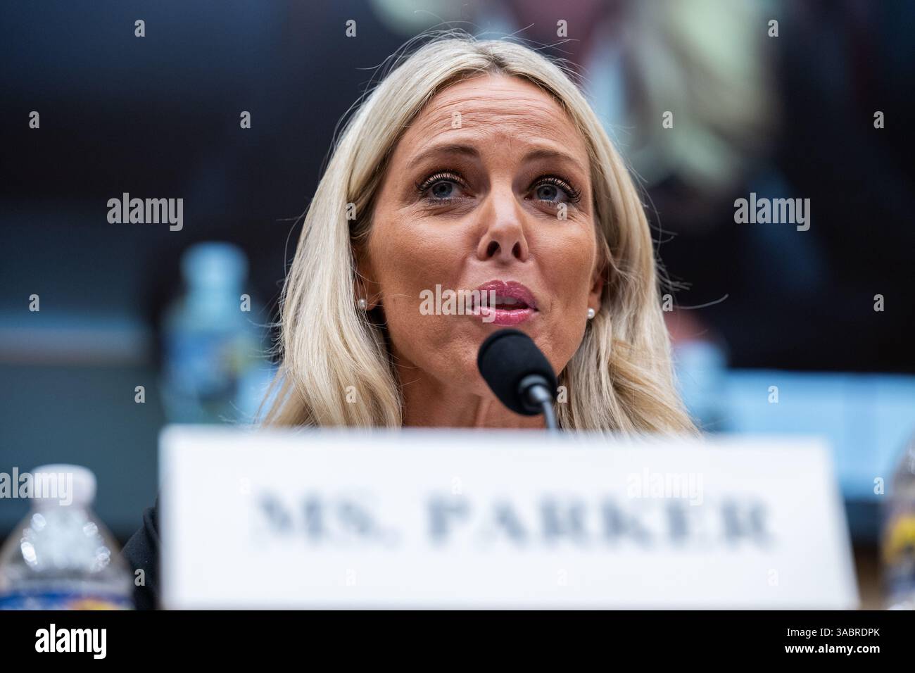 Nicole Parker, former FBI Special Agent, at a House Committee on the ...