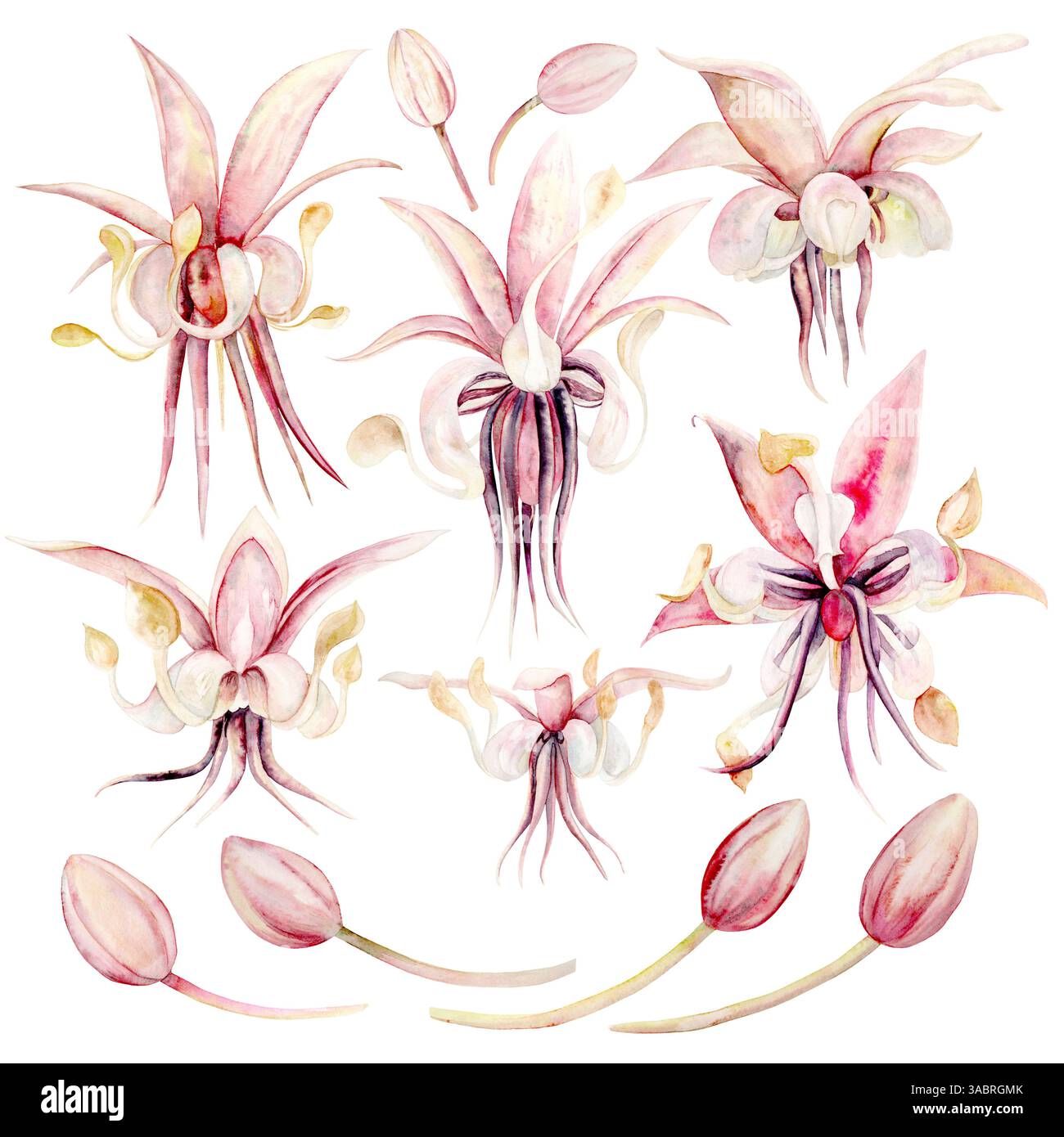 Textiles in tree Cut Out Stock Images & Pictures - Alamy