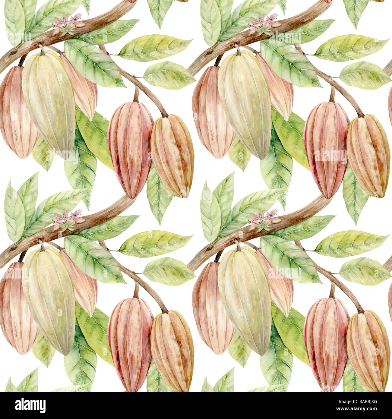 Cocoa Bean Chocolate Tree. Seamless pattern. Watercolor illustration ...