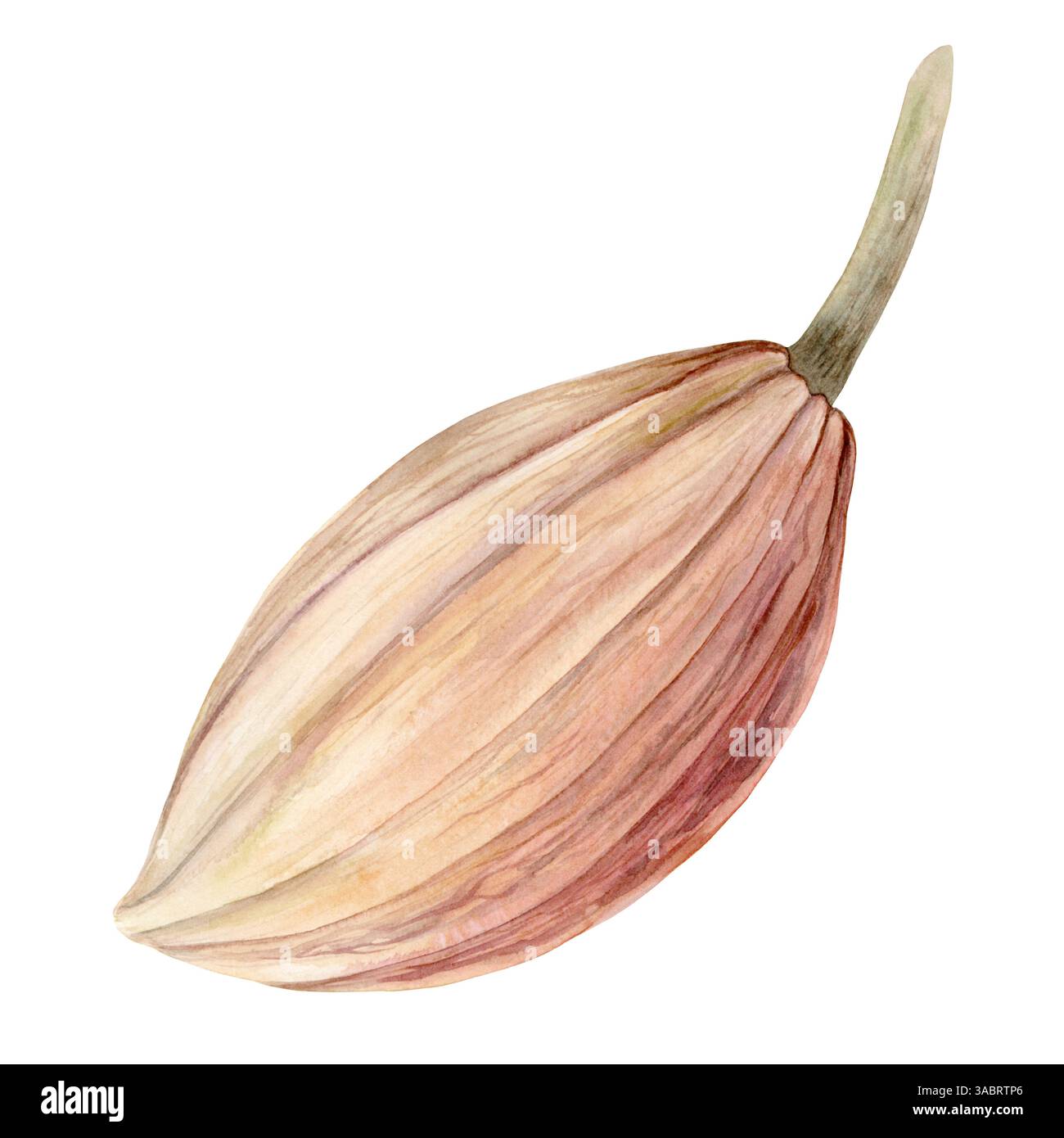 Seamless designs in flowers Cut Out Stock Images & Pictures - Alamy