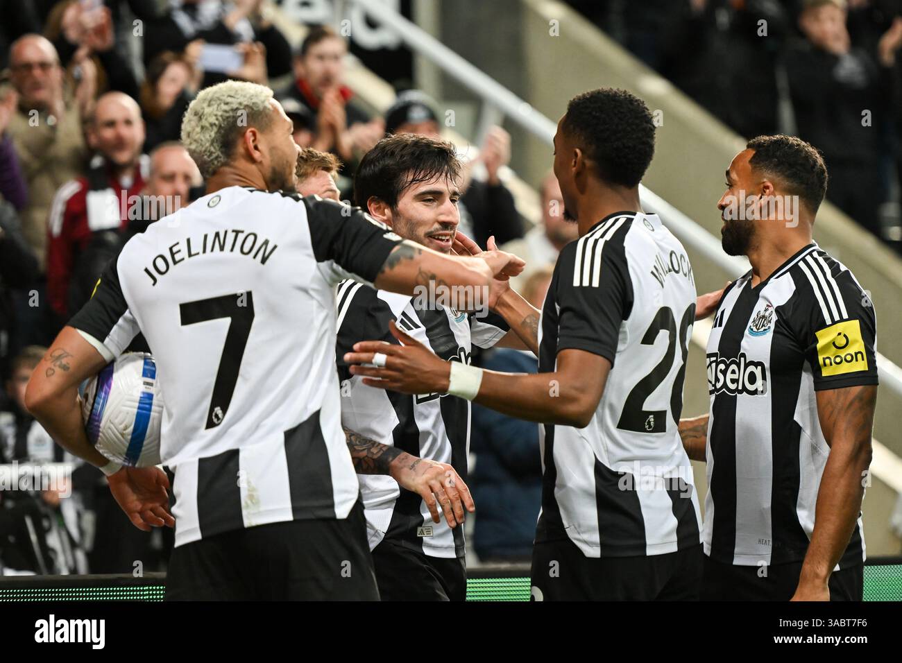 Newcastle United's Sandro Tonali celebrates his goal with his fellow ...