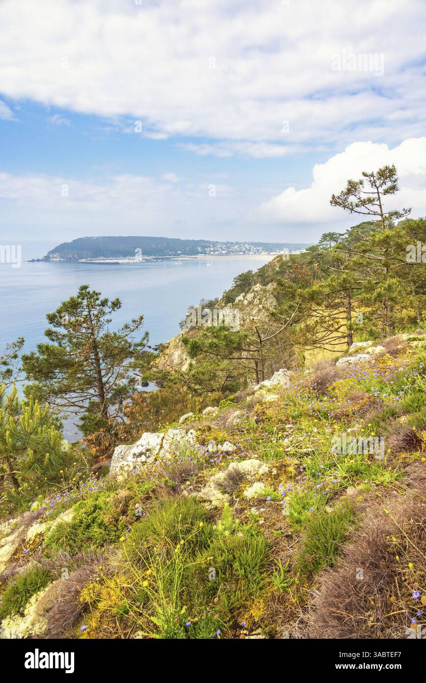 Green trees on rocky coastline hi-res stock photography and images - Alamy