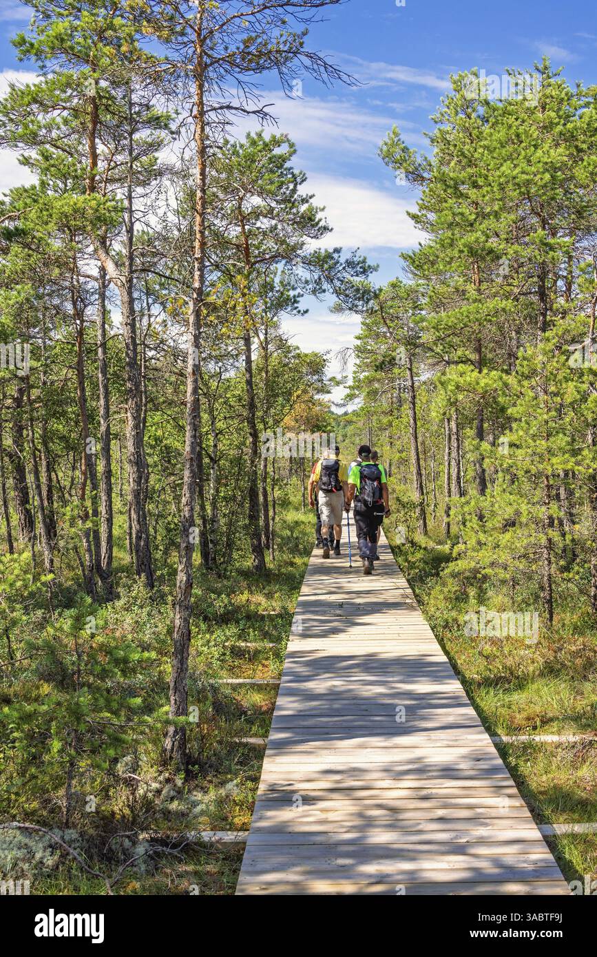 Guy walking on wooden path hi-res stock photography and images - Alamy