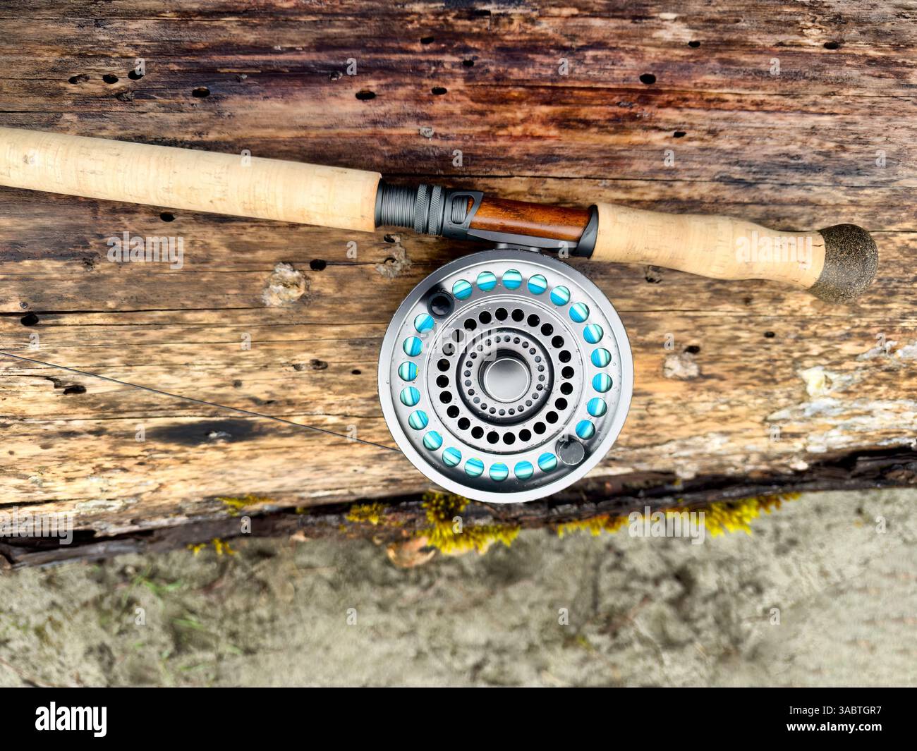 Fly fishing rod and reel lying on a dead tree and sandy background ...