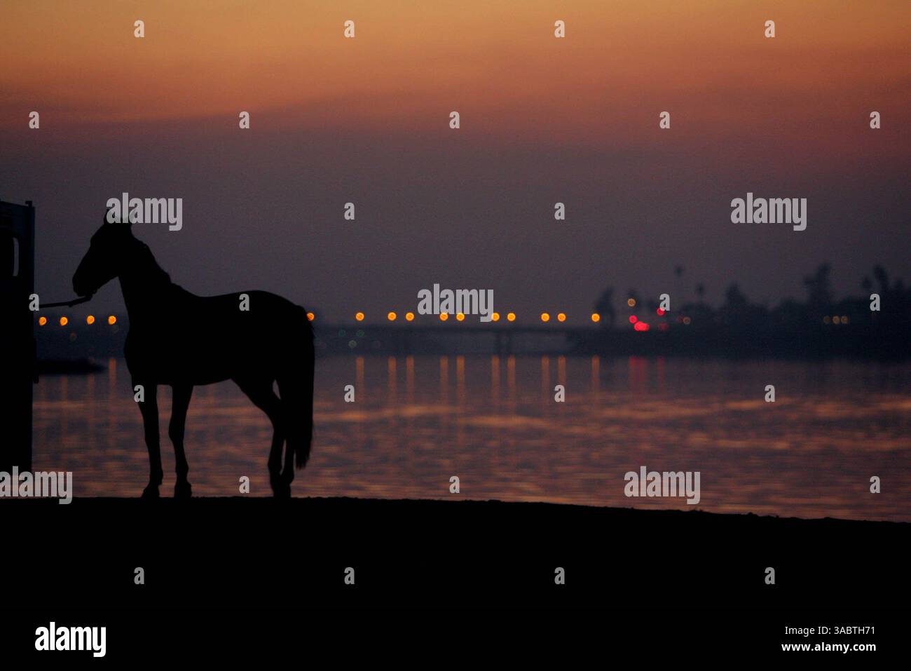 Firestorm la hi-res stock photography and images - Alamy