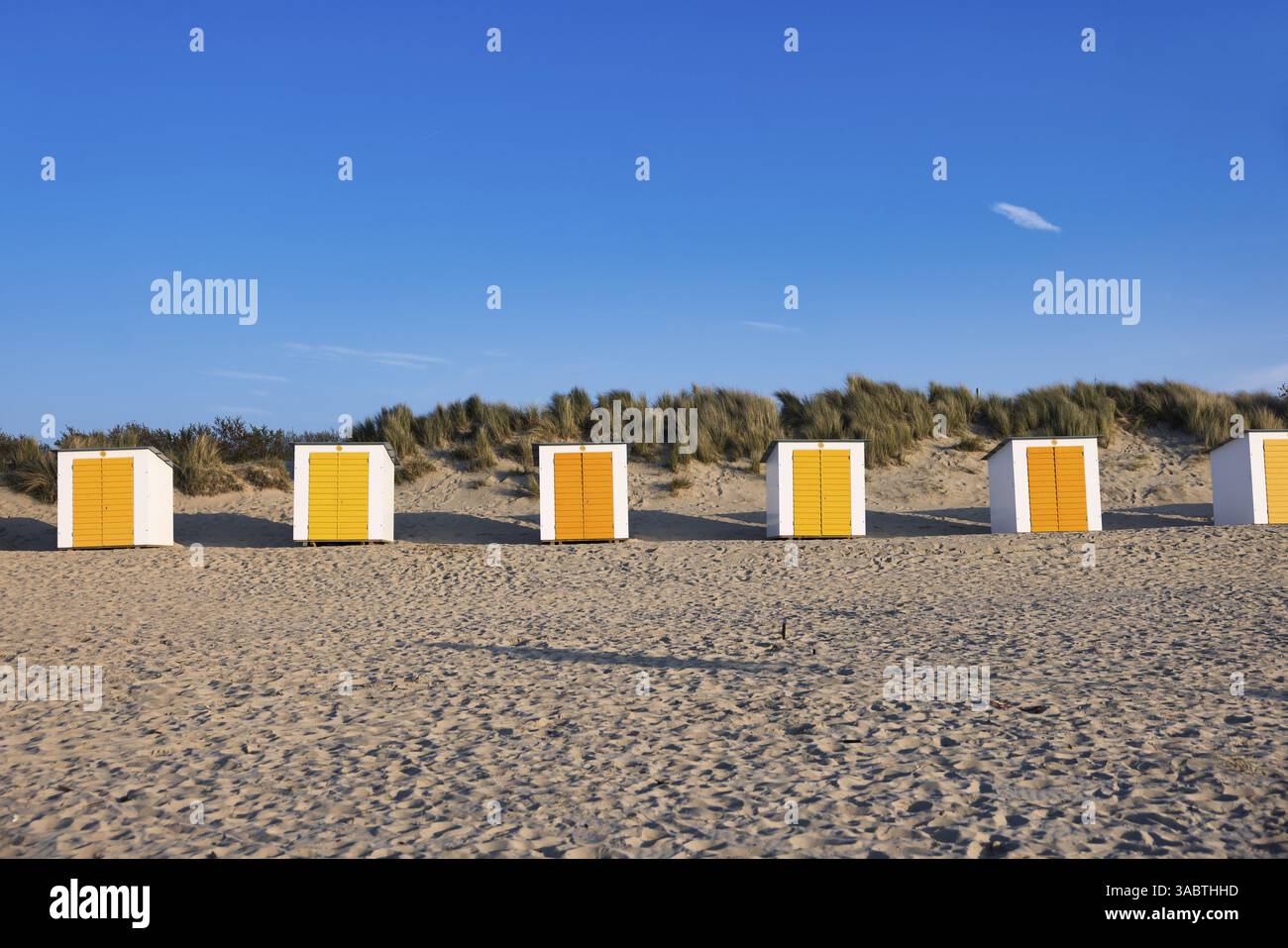 White beach houses with yellow doors on the beach in front of grassy ...