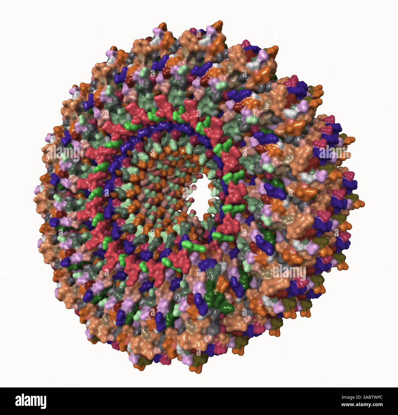 Tobacco Mosaic Virus Protein Structure – PDB: 7Q22 – STEM Visualization ...