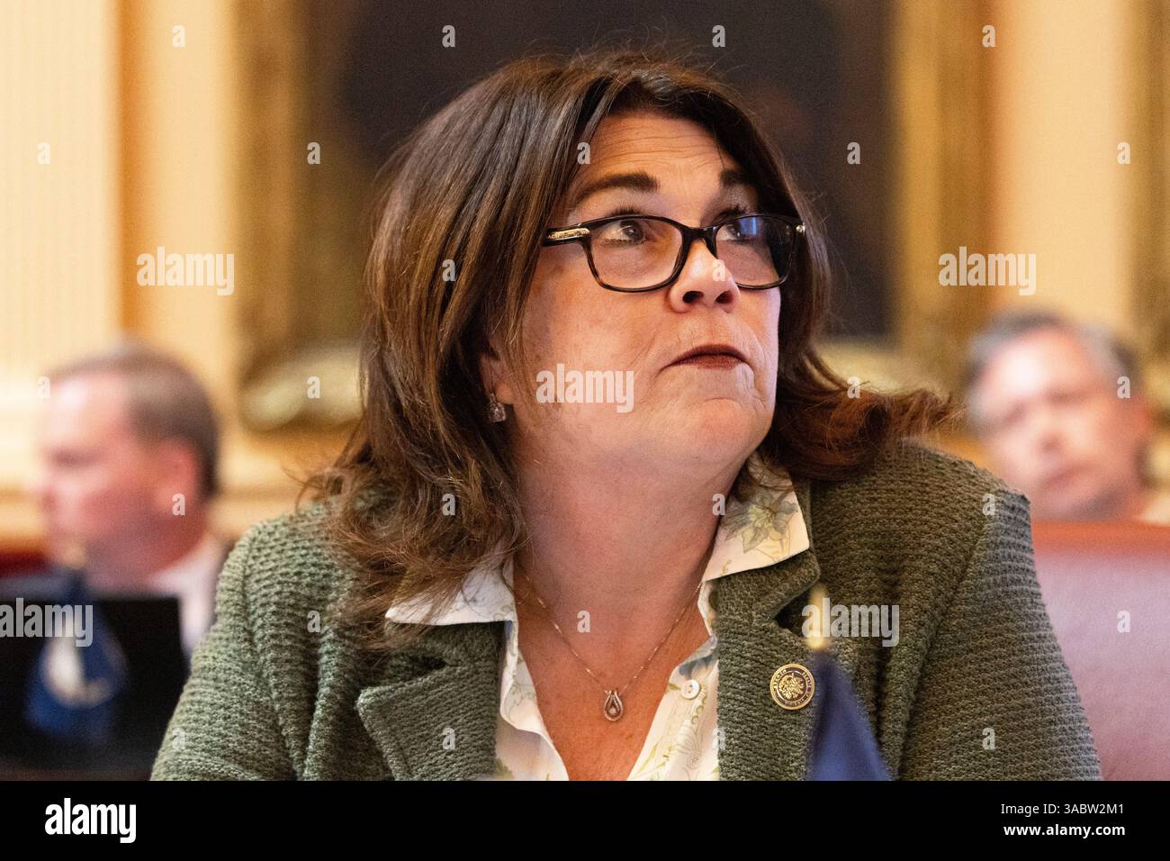 Sen. Christie New Craig, R-Chesapeake, looks towards a screen ...