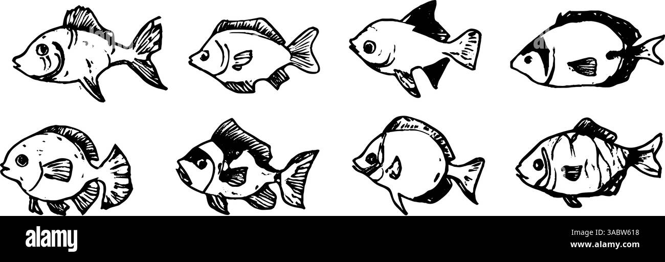Hand-Drawn Fish Illustrations Collection Stock Vector Image & Art - Alamy