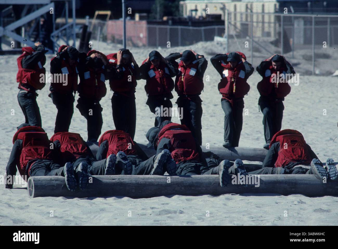 Log pt hi-res stock photography and images - Alamy