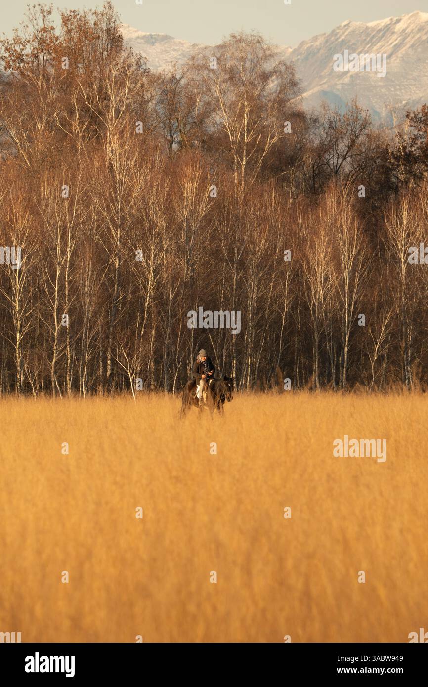 Man horseback riding through mountains hi-res stock photography and ...