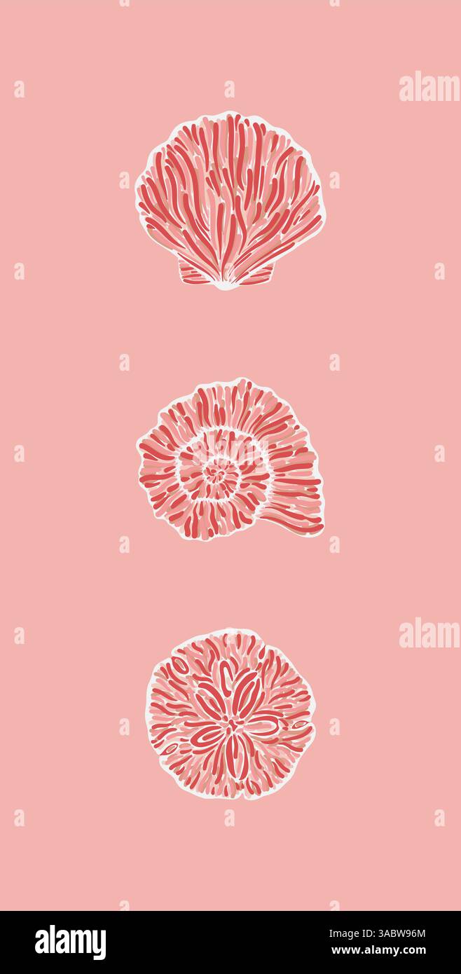 Illustrations of various shell designs depicted with intricate white ...